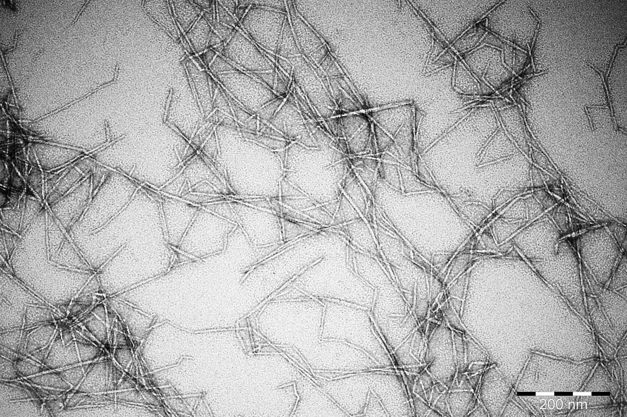 Design of cellulose-based cell growth substrates | Åbo Akademi