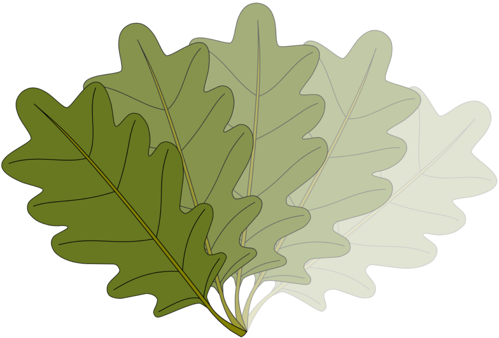 Johan Gadolin | Åbo Akademi