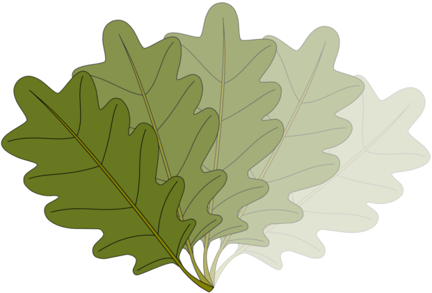 Johan Gadolin | Åbo Akademi