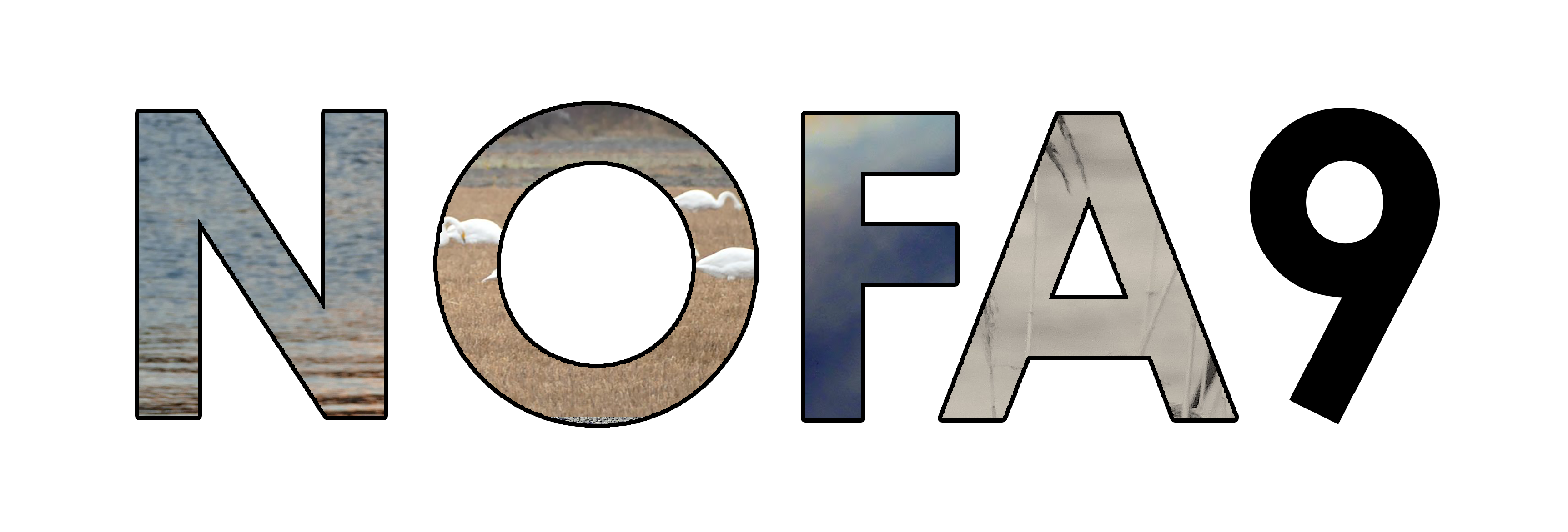 NoFa9 - The 9th Nordic Conference on Subject Education | Åbo Akademi ...