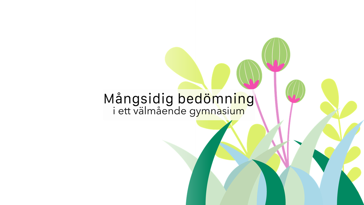 Mångsidig bedömning i ett välmående gymnasium 2.0 | Åbo Akademi