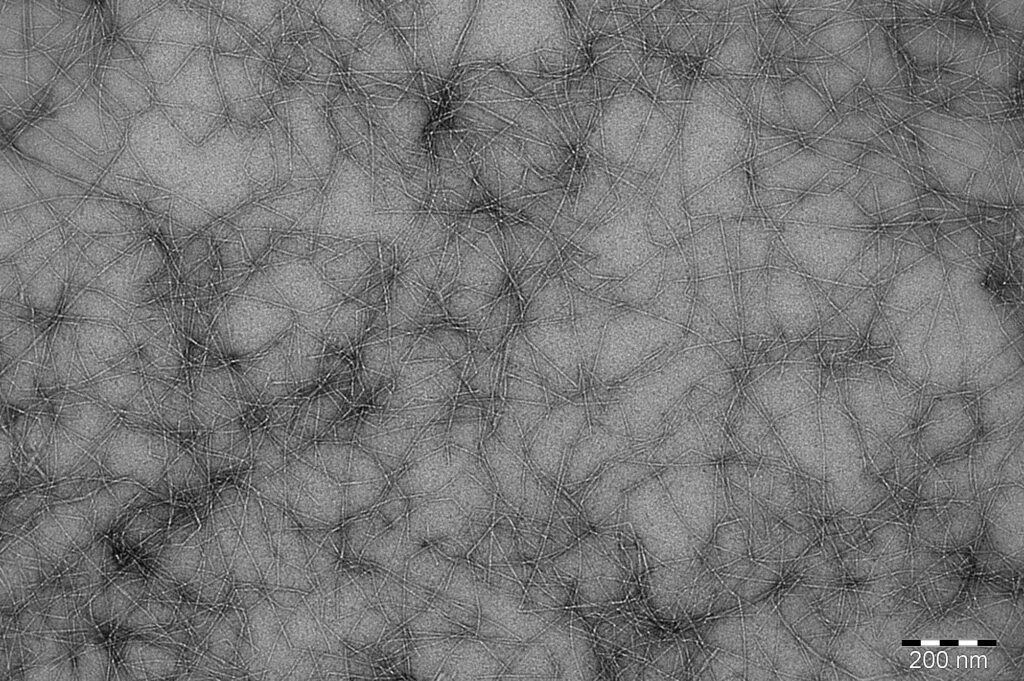 Wood-derived 1D nanomaterials provide breakthrough in 3D printing ...